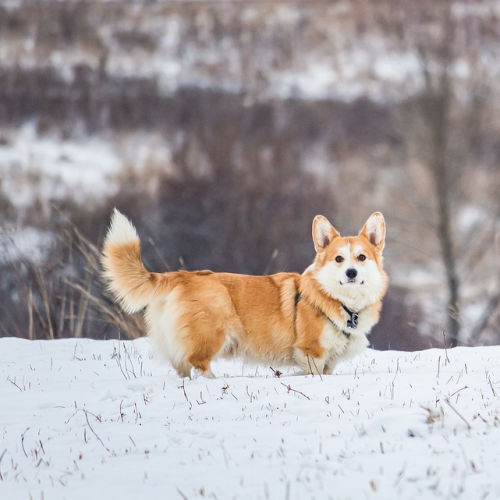 Year 4 Exploring and noticing | NRICH